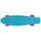 Road Runner Mini Cruiser 22” – Cal 7