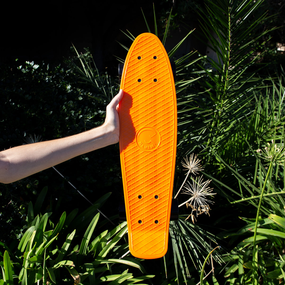 Monarch Mini Cruiser 22” – Cal 7